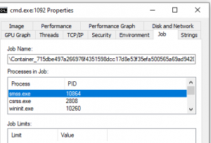 What I Learned from Reverse Engineering Windows Containers