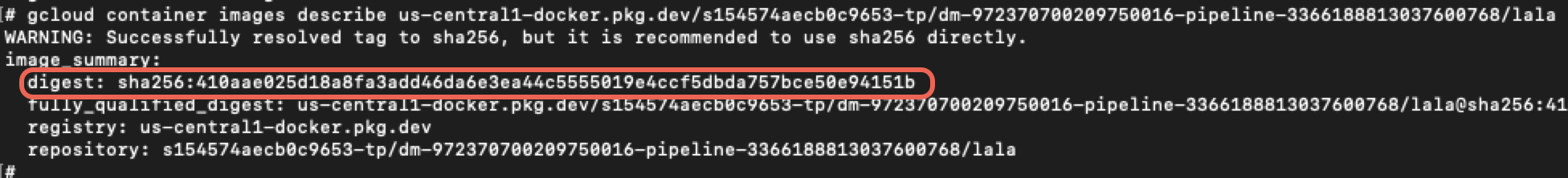 ModeLeak: Privilege Escalation to LLM Model Exfiltration in Vertex AI